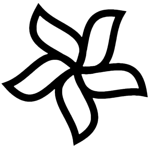 Optimal Aging Solution -A Holistic Approach to Aging In Place – OAS Hub